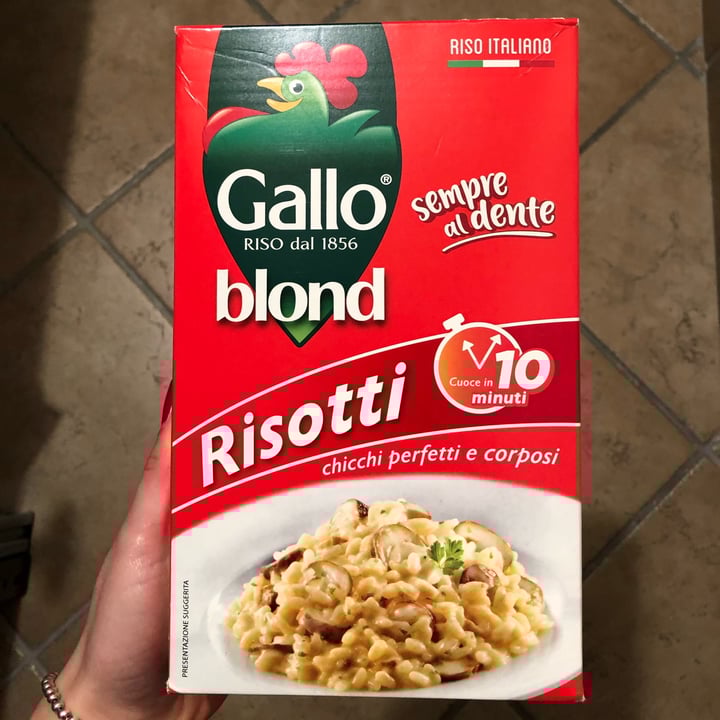 Gallo Blond risotti Review | abillion