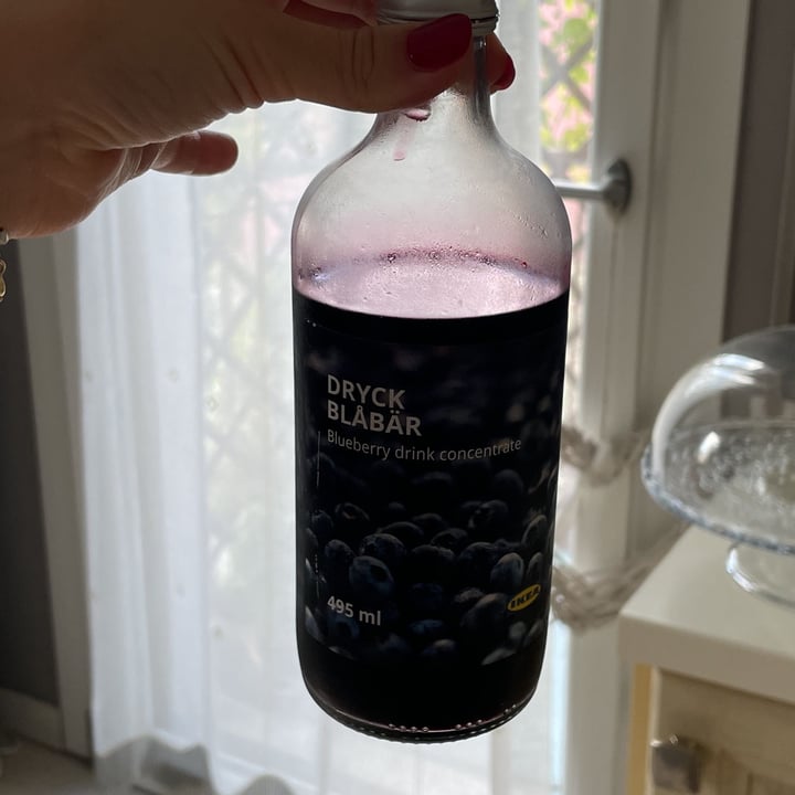 DRYK Dryck Blabar Review | abillion