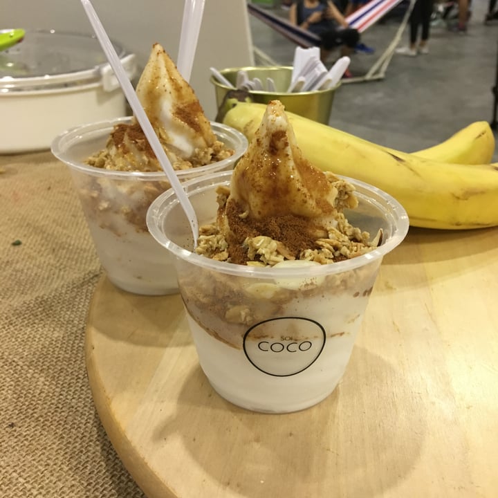 Doco Donburi Tanjong Pagar, Singapore Coconut Soft Serve Review | abillion