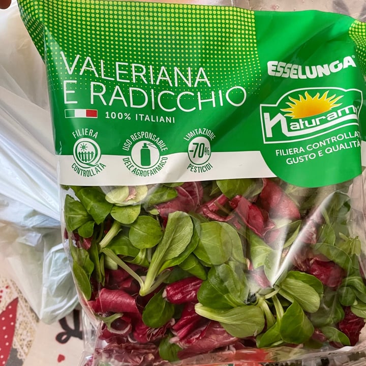 Esselunga valeriana e radicchio Review | abillion