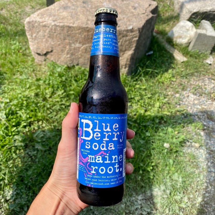 Maine Root Blueberry Soda Review | abillion
