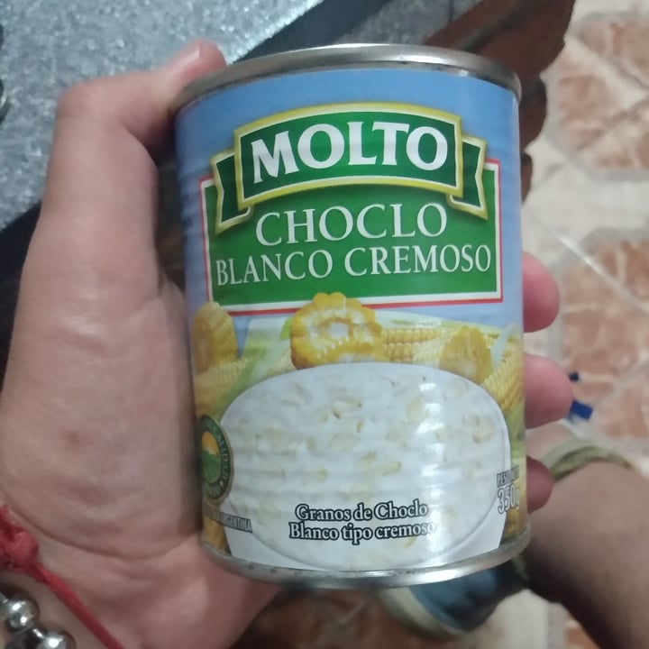 Molto Choclo blanco cremoso Review | abillion
