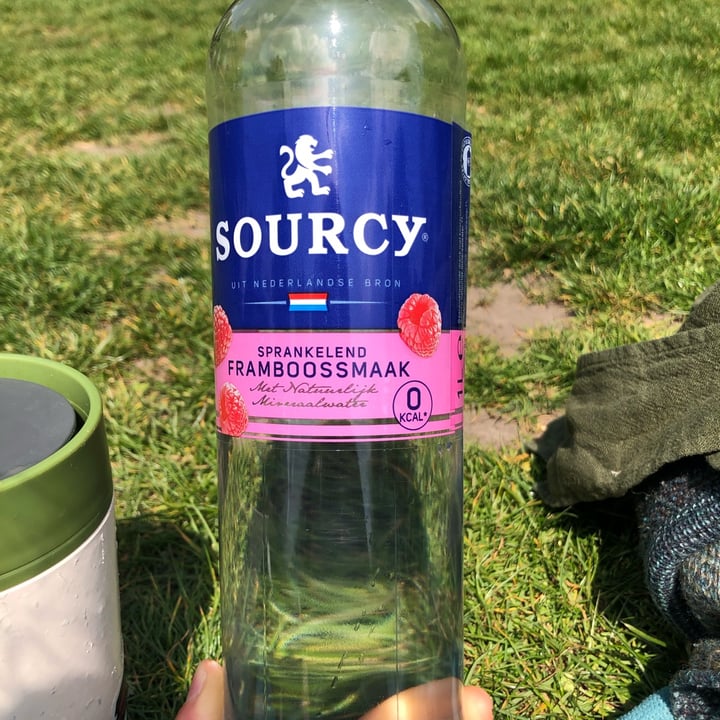 Sourcy Reviews | abillion