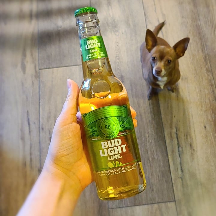 Anheuser-Busch Bud Light Lime Review | abillion