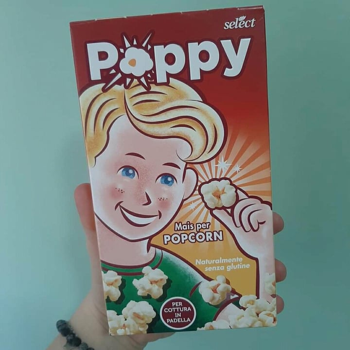 Select Popcorn Review | abillion