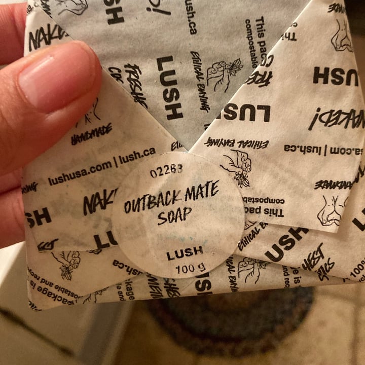 LUSH Fresh Handmade Cosmetics Outback Mate Soap Review | abillion