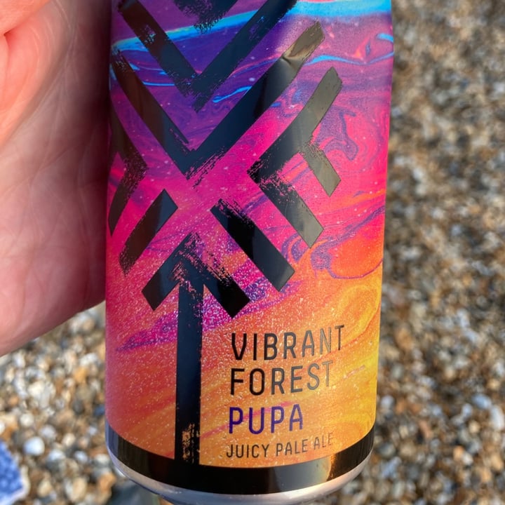Vibrant Forest brewery Pupa Pale ale Review | abillion