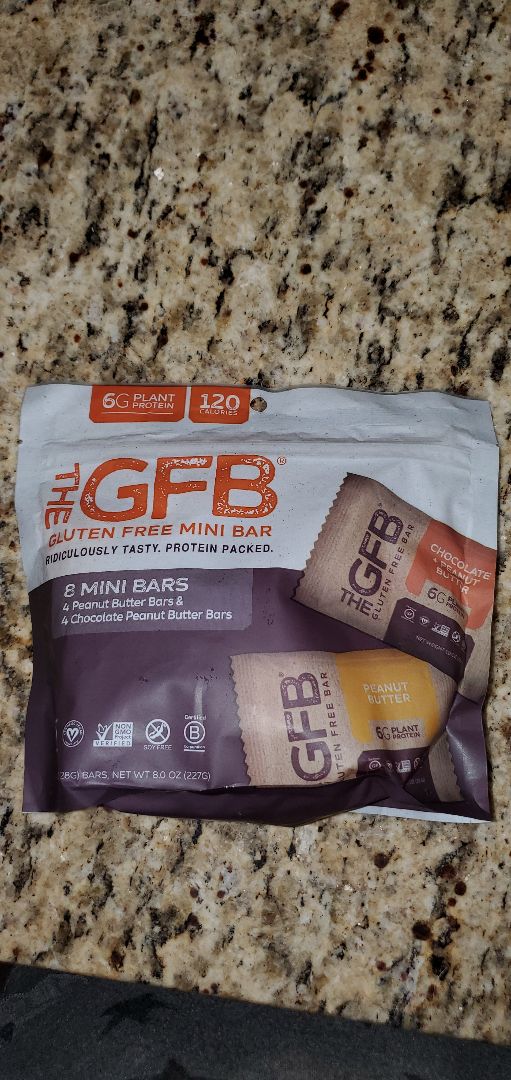 The GFB Gfb Mini Bar Review | abillion