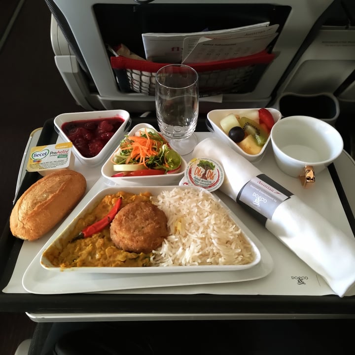 Austrian Airlines Vegetarian/Vegan Meal (VGML) (Premium Economy) Review ...