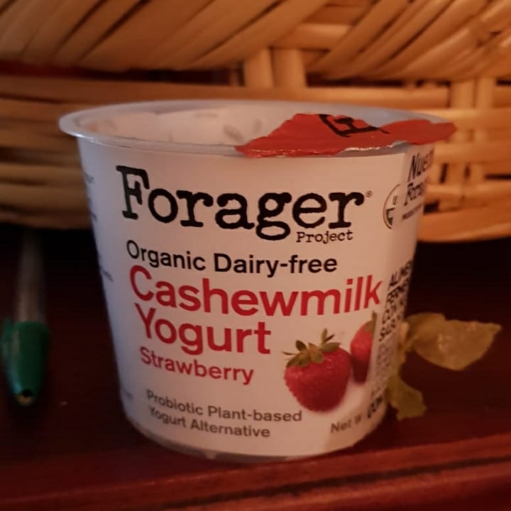 Forager Project Organic Dairy-free Cashewmilk Yogurt Strawberry Review ...