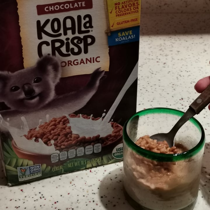 Nature's Path Foods Chocolate Koala Crisp Review | abillion