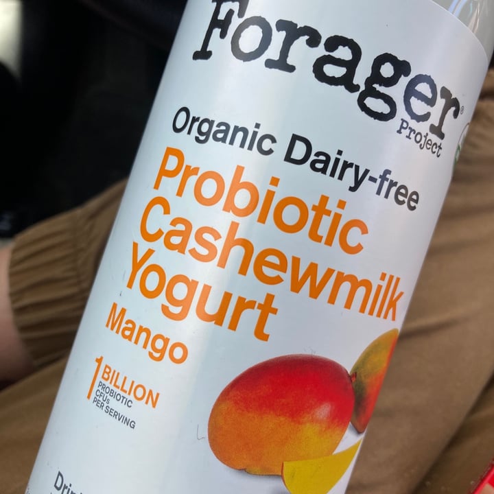 Forager Project Organic Dairy-free Probiotic Cashewmilk Yogurt Mango ...