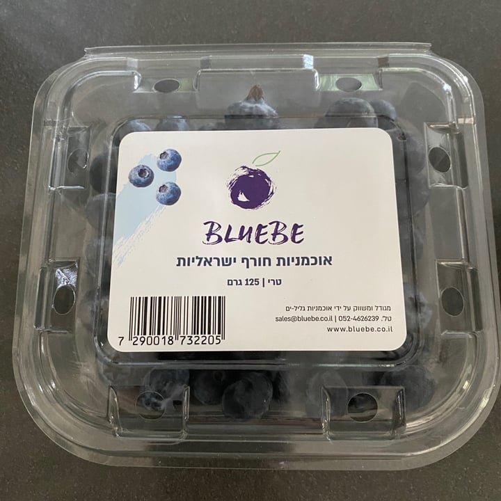 Bluebe Reviews | abillion