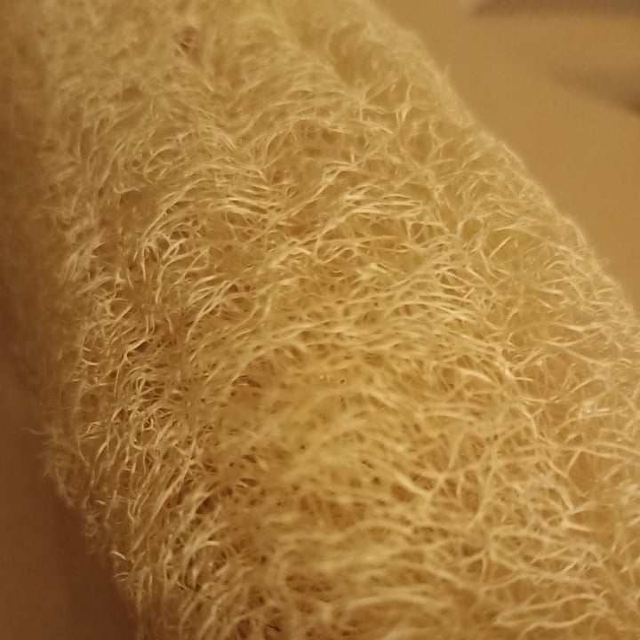 conscious consumption loofah Review | abillion