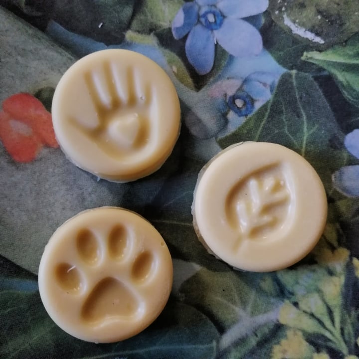 LUSH Fresh Handmade Cosmetics Charity Pot Coin Naked Body Lotion ...