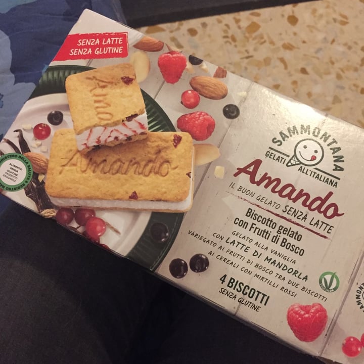 Sammontana Amando Sammontana Gelato Biscotto Review | abillion