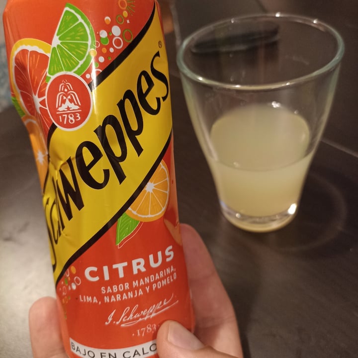 Schweppes citrus Review | abillion