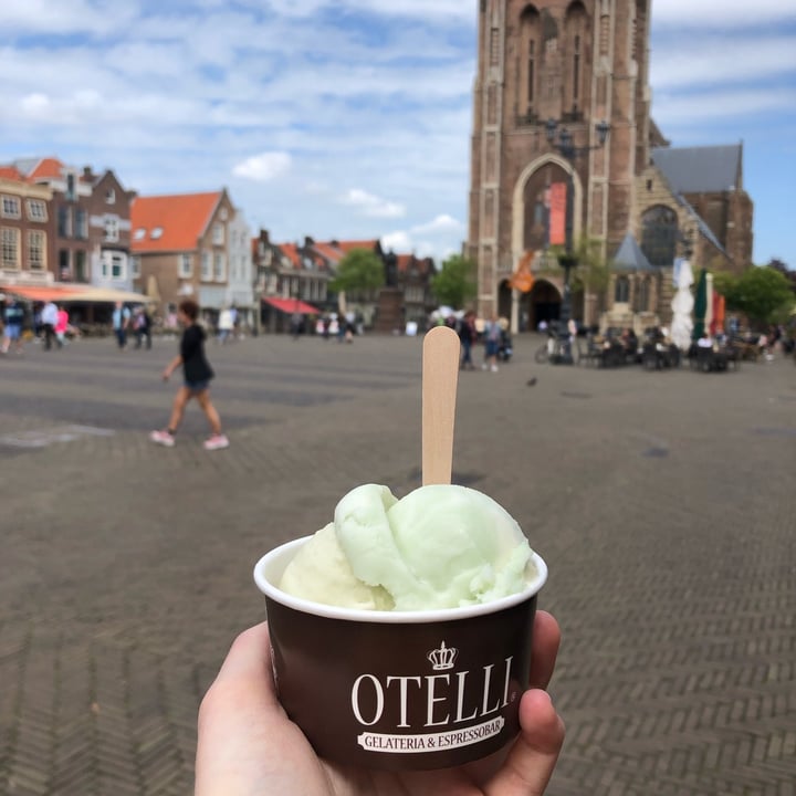 Otelli Delft, Netherlands Vegan Pistache Gelato Review | abillion