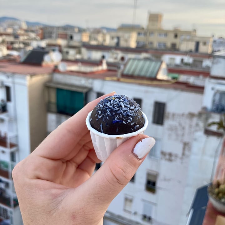 Gaia healthy bites Blue Moon XB Review | abillion