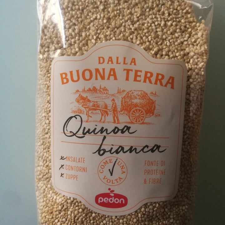 Pedon Quinoa bianca Review | abillion