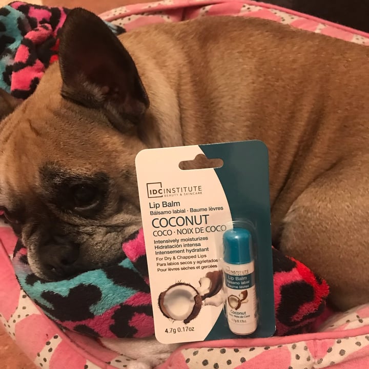 IDC Institute Beauty & Skincare Bálsamo labial Review | abillion