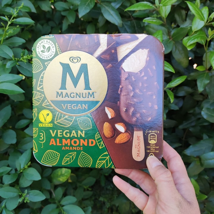 Magnum Vegan Almond Review | abillion