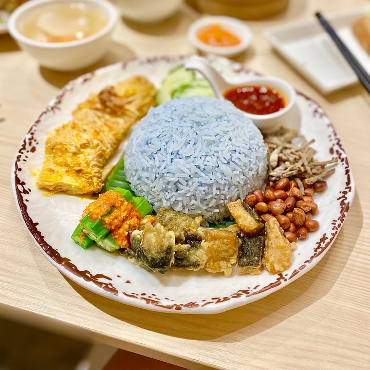 Lotus Vegetarian Restaurant Novena, Singapore Nasi lemak Review | abillion
