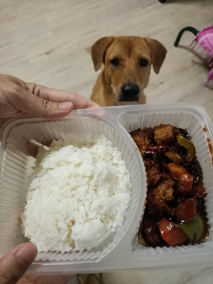 SHU Vegetarian AMK Ang Mo Kio, Singapore Gong Bao Chicken Rice (Chilli ...