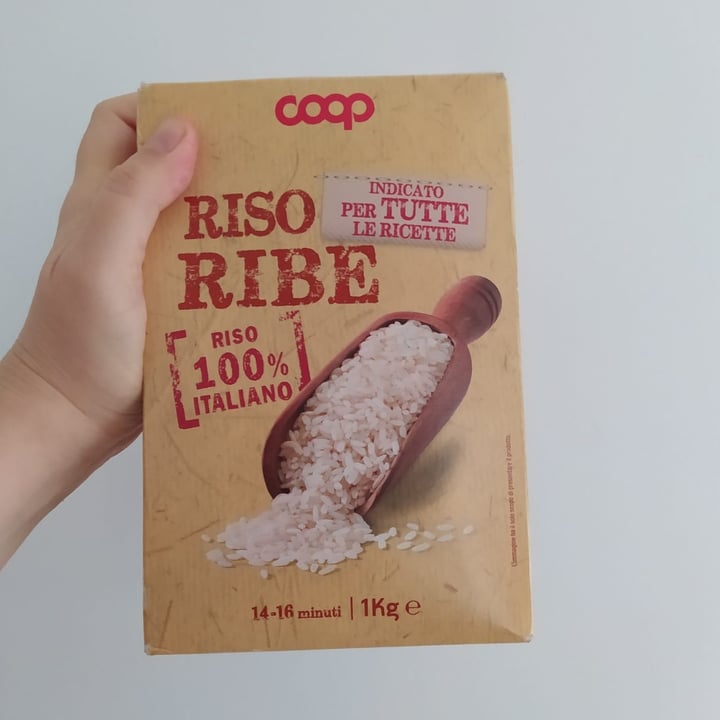 Coop Riso Ribe Review | abillion