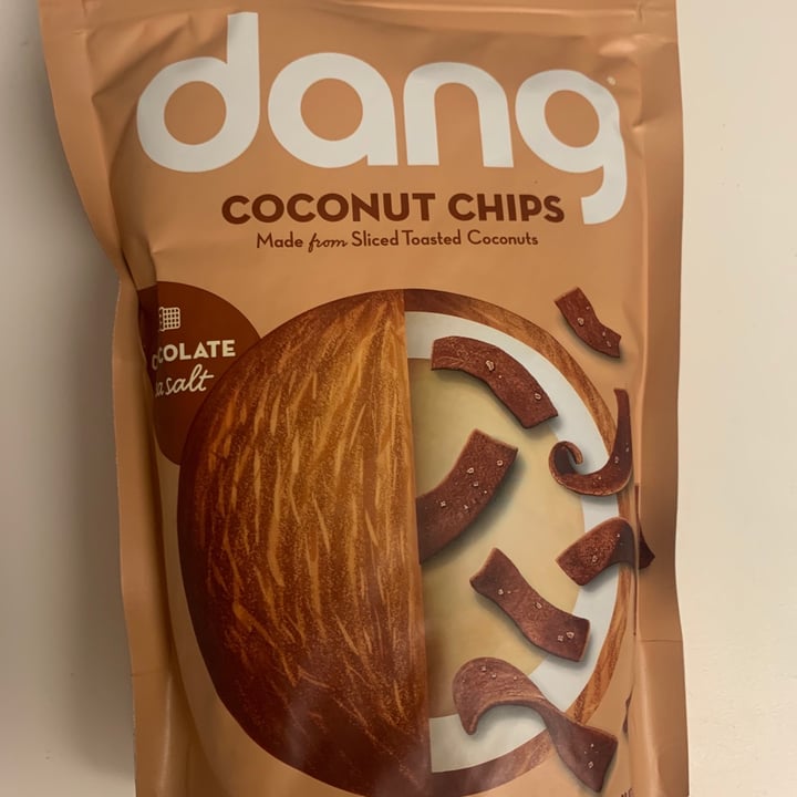 Dang Foods Chocolate Sea Salt Coconut Chips Review | abillion