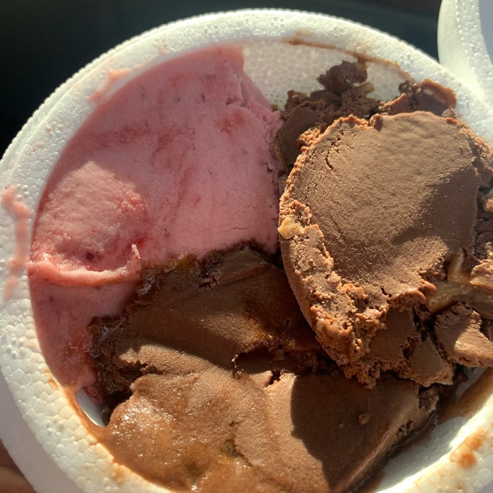 Freddo Belgrano, Argentina Helados NotCo Review | abillion