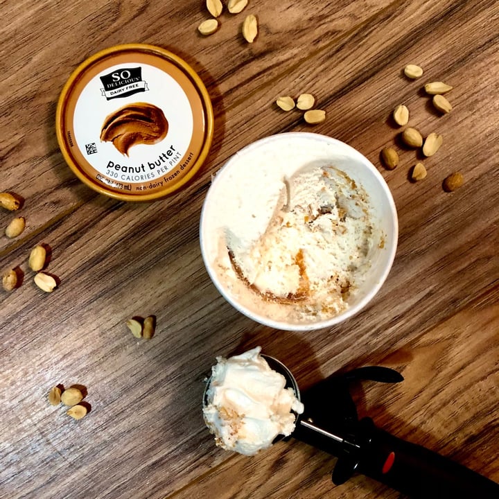 So Delicious Dairy Free Peanut Butter Swirl Frozen Mousse Review | abillion