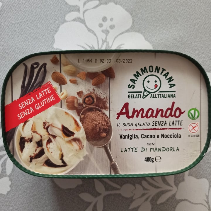 Sammontana Amando Sammontana gelato Vaniglia Cacao Nocciola Review | abillion