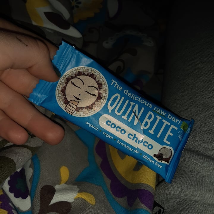 Quin Bite Coco Choco Raw Bar Review | abillion