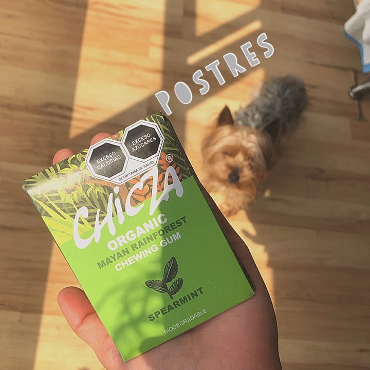 Chicza Organic Mayan Rainforest Chewing Gum: Mint Review | abillion