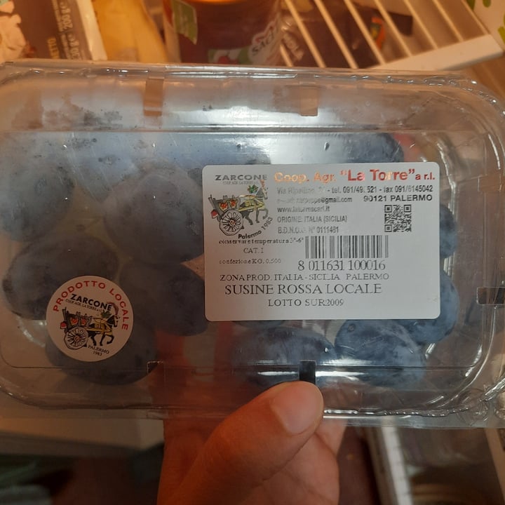 zarcone coop agr la torre Reviews | abillion