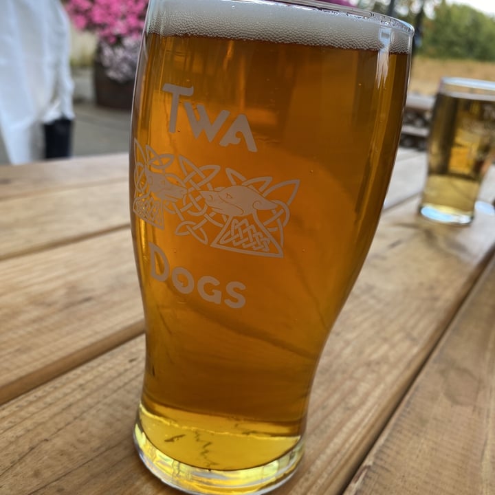 Twa Dogs Brewing Drouthy Neibor IPA Review | abillion