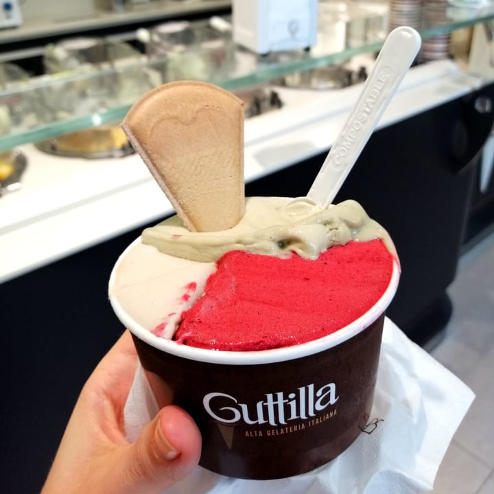 Guttilla Alta Gelateria Italiana Roma, Italy Gelato vegan Review | abillion
