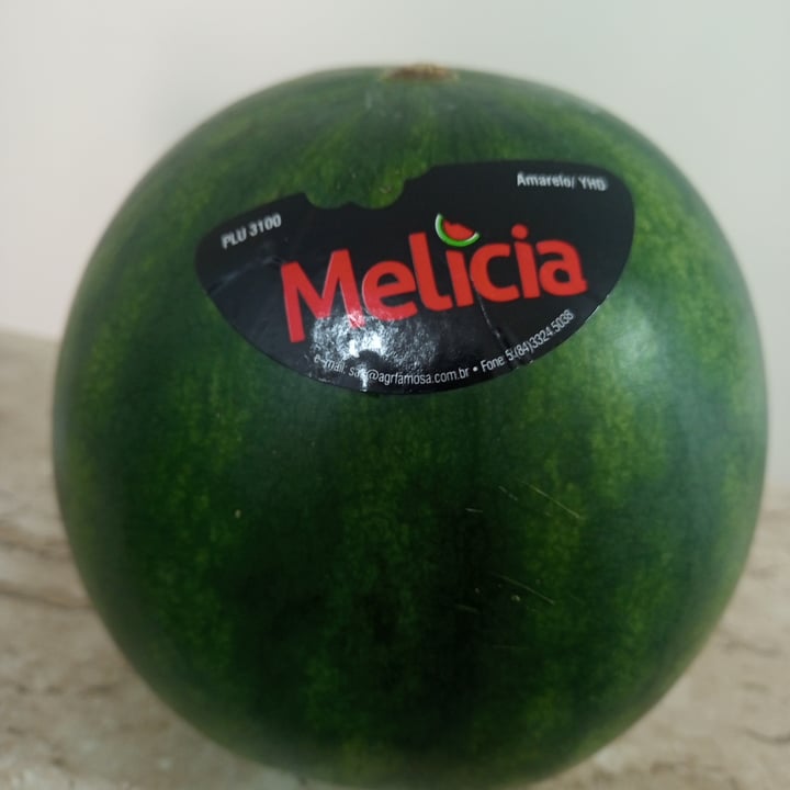 Melicia Mini melancia Review | abillion