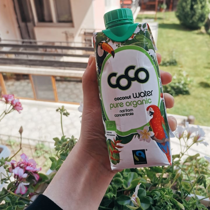 Dr Antonio Martins Coco Water Review | abillion