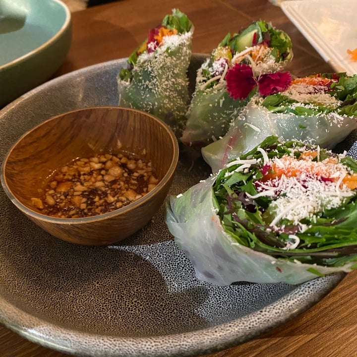 Khu Khu Eatery Ponsonby, Auckland, New Zealand Fresh Rolls Review ...