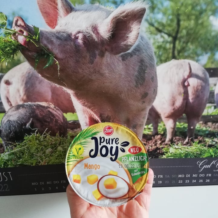 Zott Pure Joy Mango Review | abillion