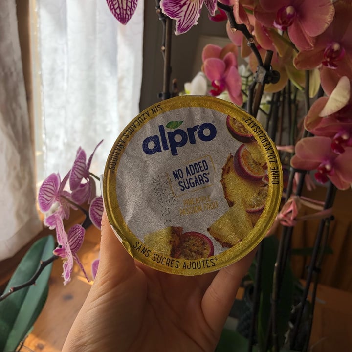 Alpro Yogurt Ananas e Passion Fruit Review | abillion