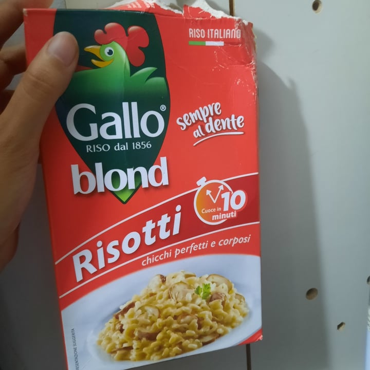 Gallo Gallo Blond Risotti Review | abillion
