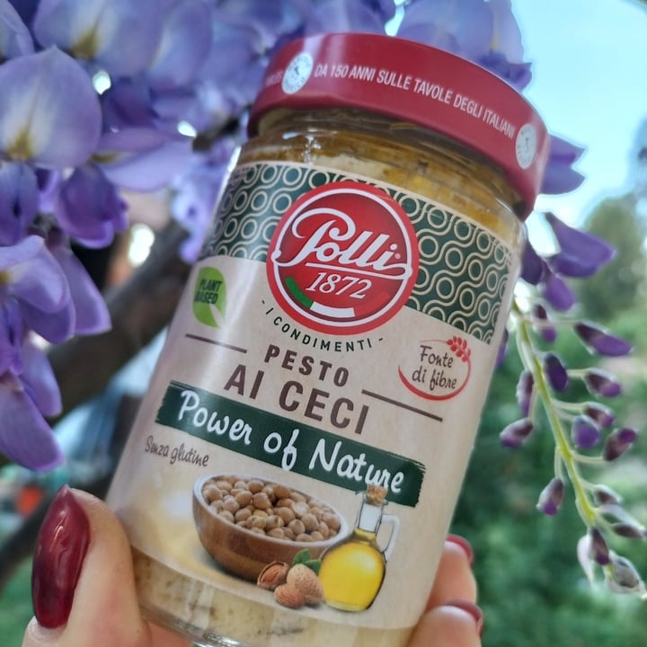 Polli 1872 Pesto Ai Ceci Review | abillion