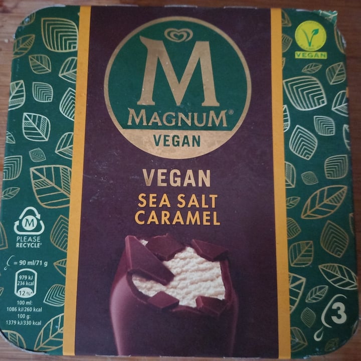 Magnum Dairy Free Sea Salt Caramel Review | abillion