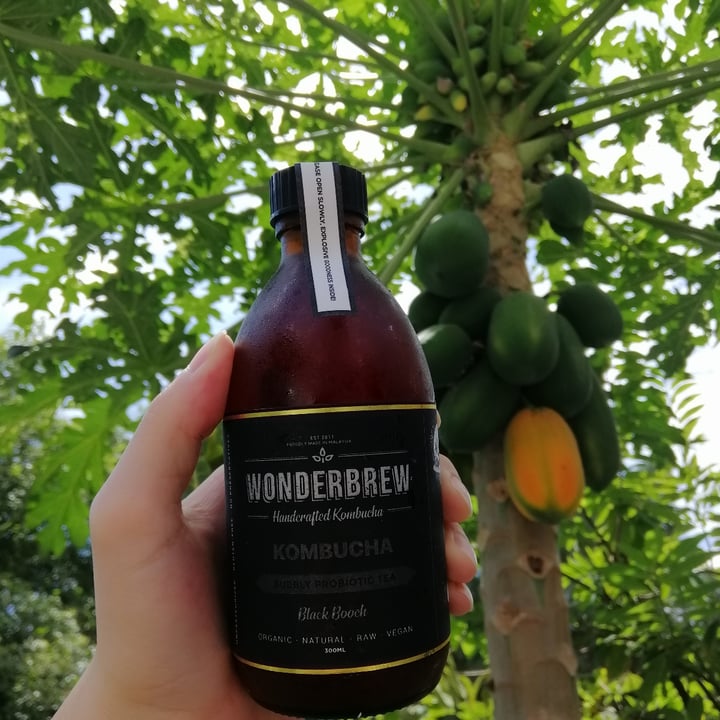 Wonderbrew Black Booch Kombucha Review | abillion