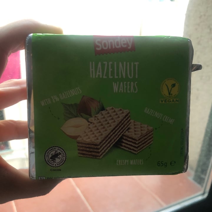 Sondey Neapolitan Wafers Review | abillion
