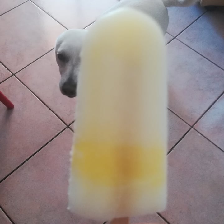 Algida Lemonissimo Review | abillion