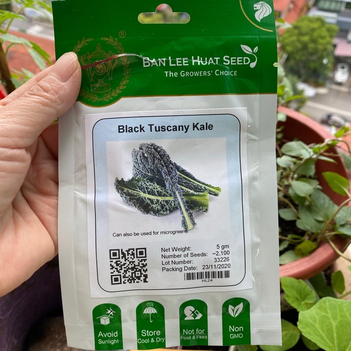 Ban lee Huat seed pte ltd Black Tuscany Kale Review | abillion